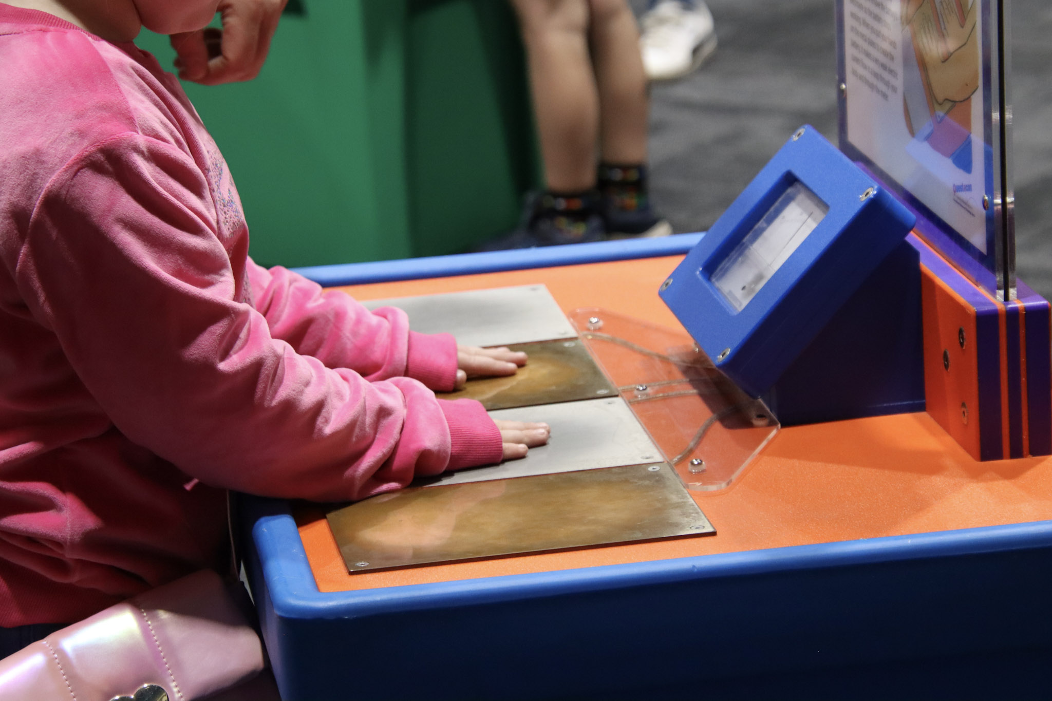 What's on - Queen Victoria Museum & Art Gallery