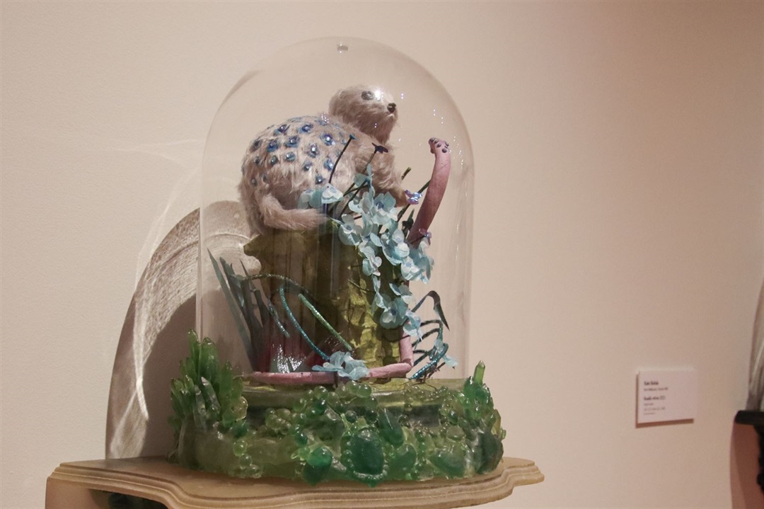 In conversation: Kate Rohde - Queen Victoria Museum & Art Gallery